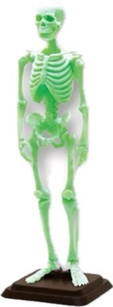 Clear Skeleton created by Hibiki Nagashio