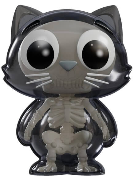 Human Skeleton created by Ben Butcher