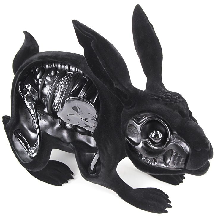 Lepus Pellis Os Omentum · Platform