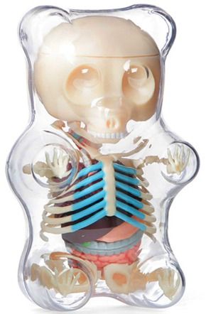 Gummi Bear Anatomy · Platform