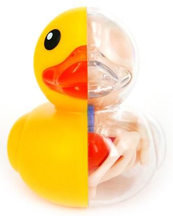 Rubber Ducky Anatomy · Platform