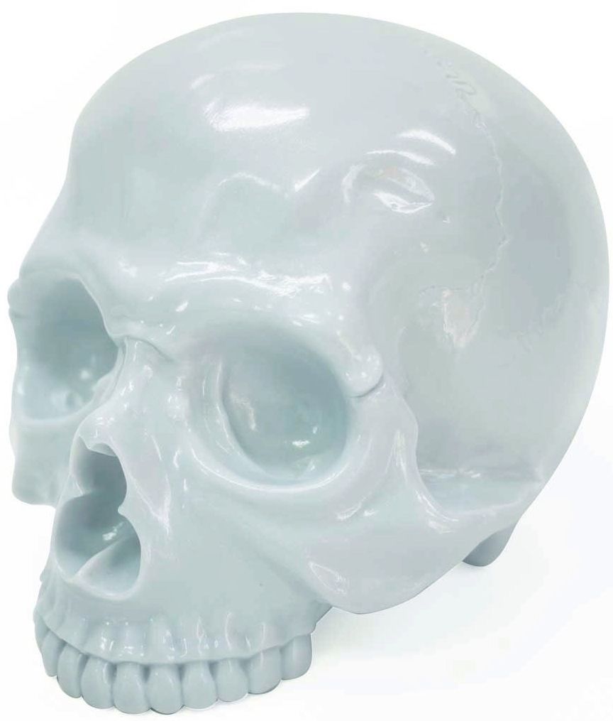 Skull Head - ULLR created by Secret Base