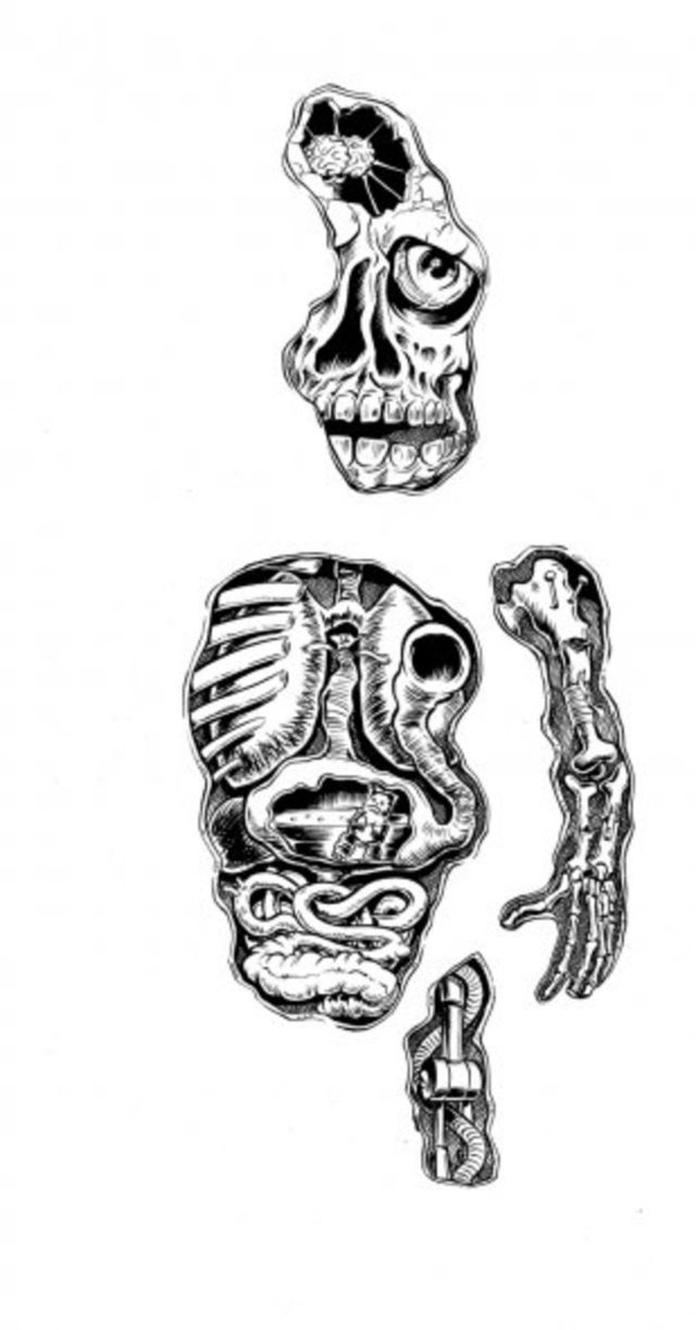 Dissected Caveman Drawing created by COOP (Chris Cooper)