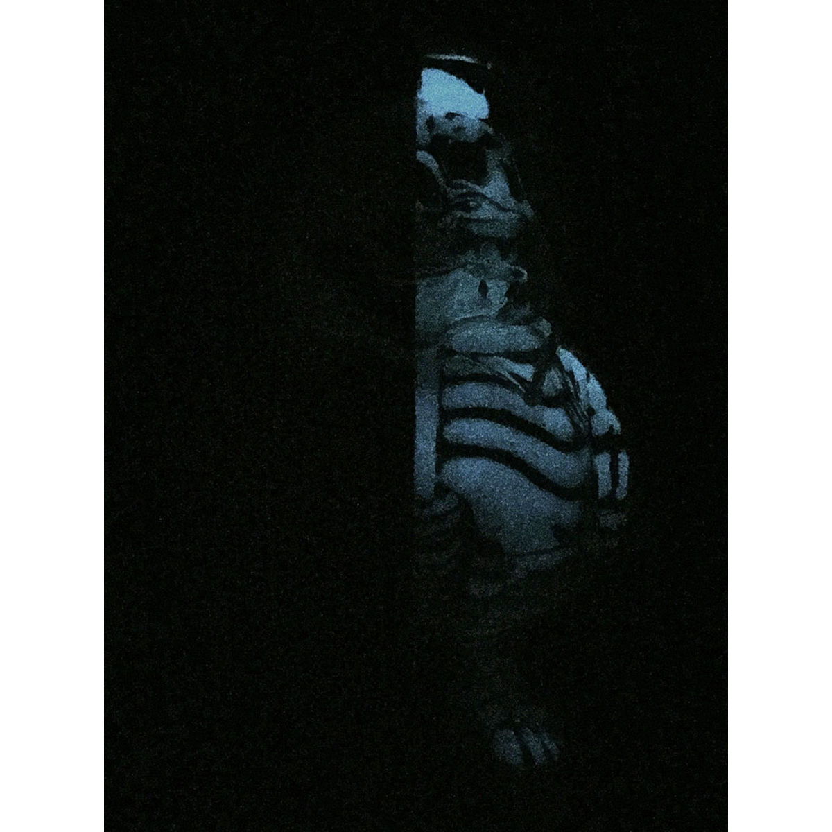 X-RAY MC SUPER SIZED LTD. Ver. ( Pearl Colors - White GID ) created by ...