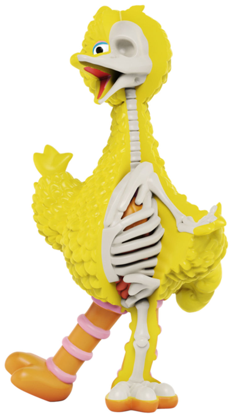 XXRay Plus : 9" Bert created by Jason Freeny, Jim Henson