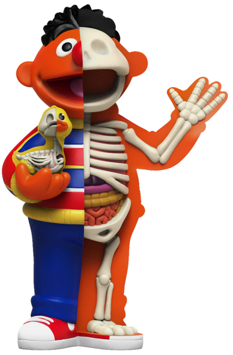 XXRay Plus : 9" Bert created by Jason Freeny, Jim Henson