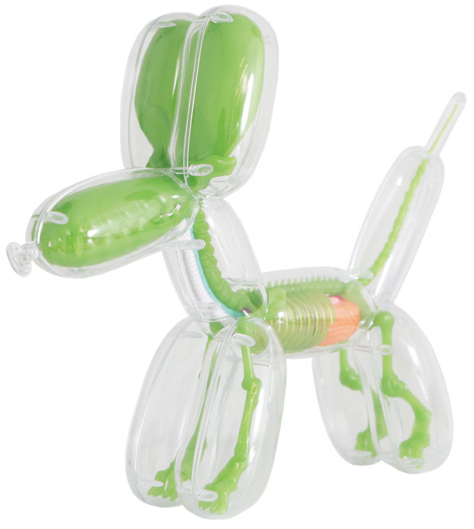GID Balloon Dog Anatomy created by Jason Freeny