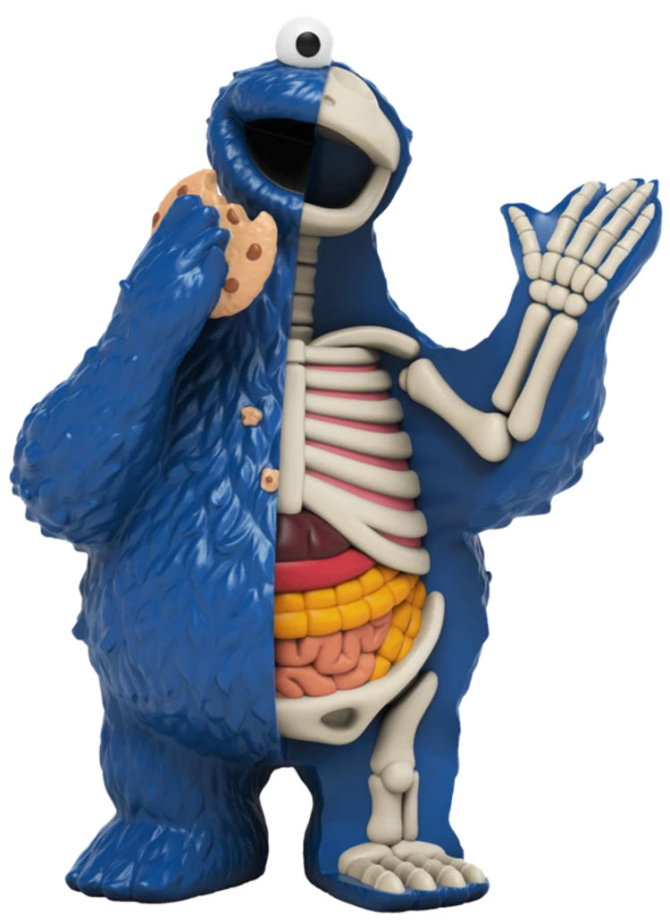 XXRay Plus : 9" Bert created by Jason Freeny, Jim Henson