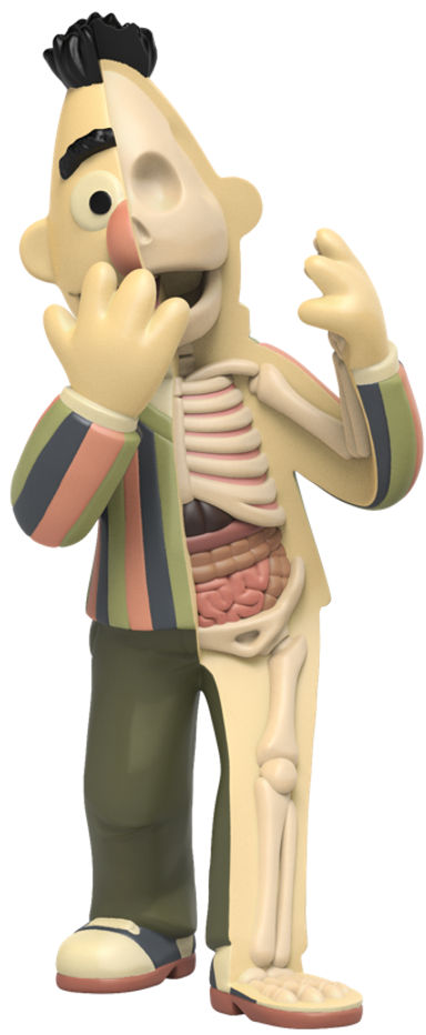 XXRay Plus : 9" Bert created by Jason Freeny, Jim Henson