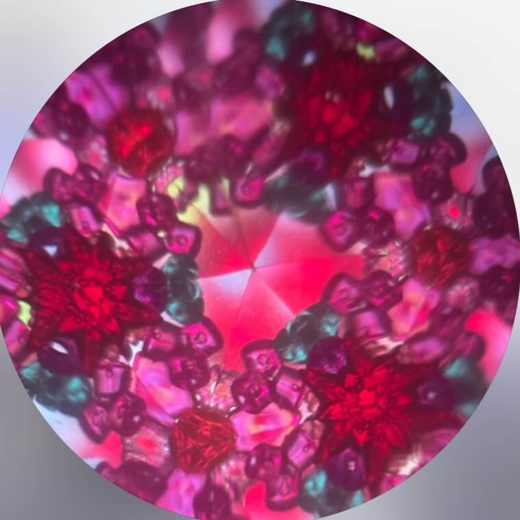 Anna Corcoran · Artist